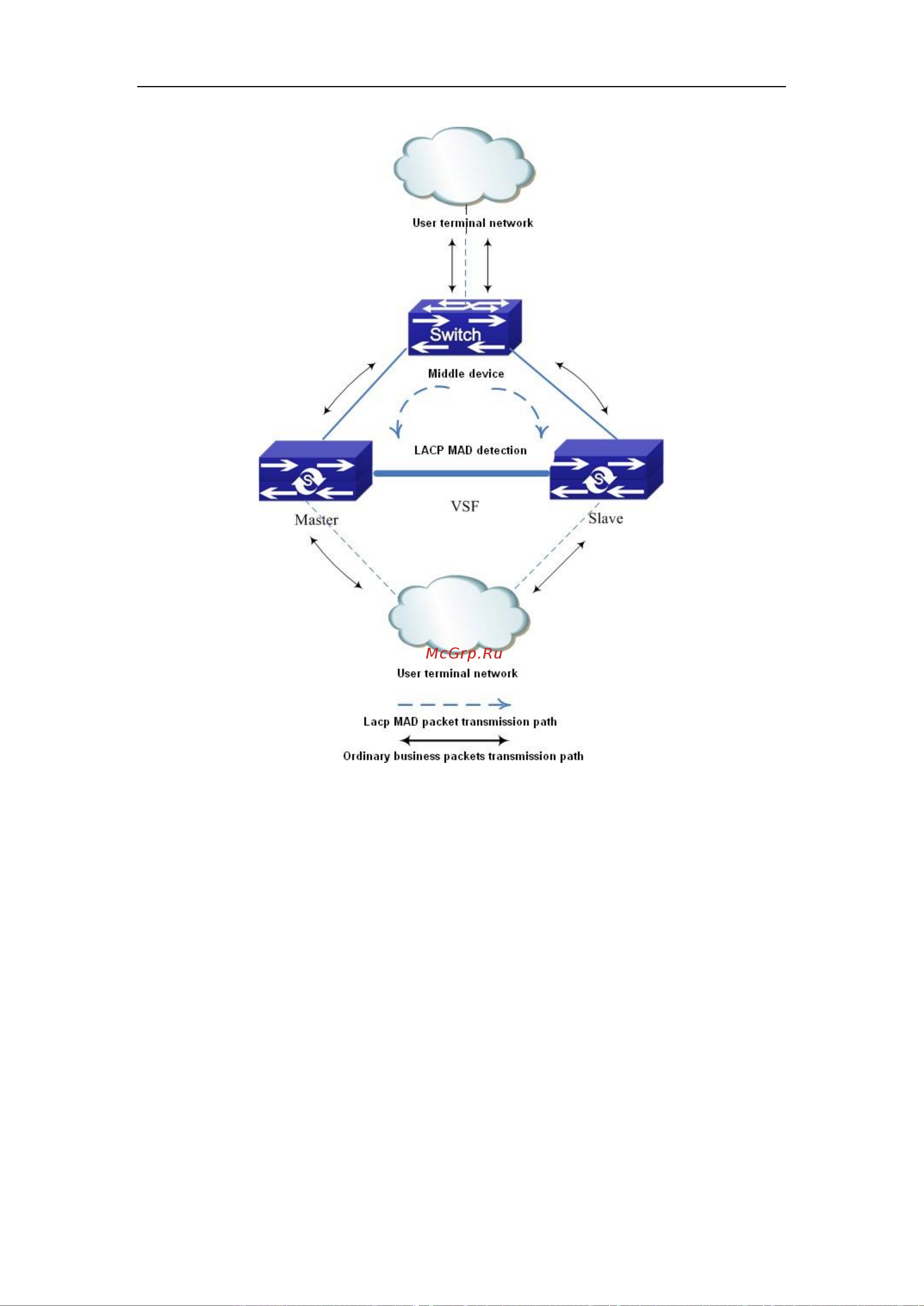 SNR S2989G-48TX-DC [501/553] Bfd mad